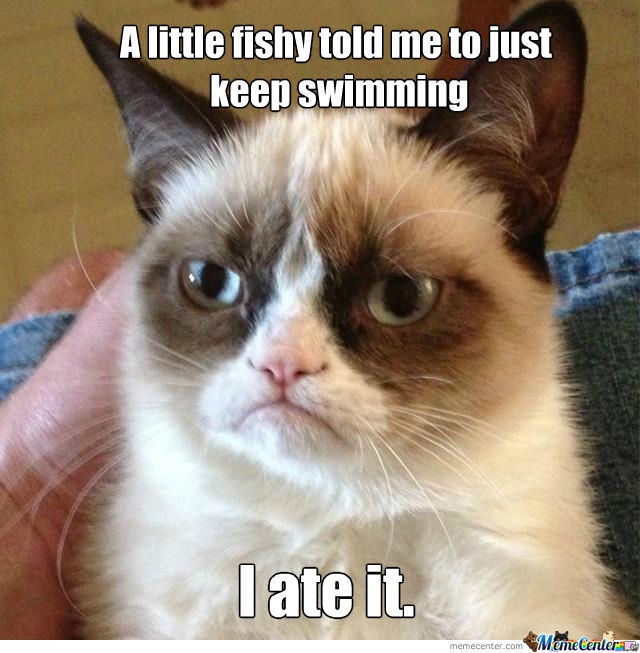 Cat Meme Just Keep Swimming Photo Of 'angry' Cat In Harvey Floodwaters